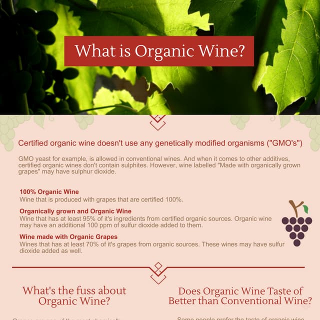 What is Organic Wine? | PDF | Agriculture | Industries