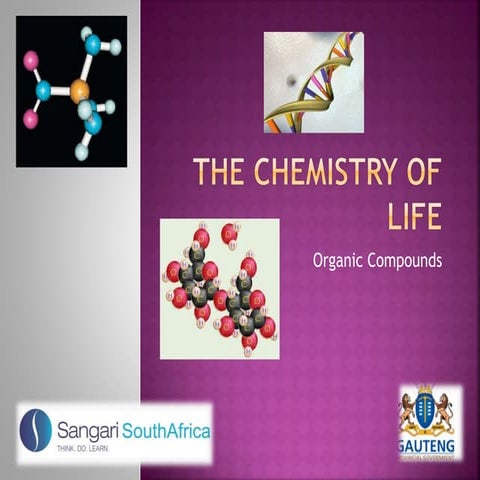IGCSE Biology Edexcel (9-1) Biological molecules | PPTX