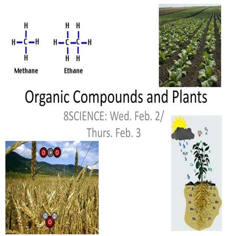 Organic compounds and plants | PPTX