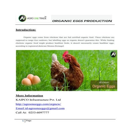organic chicken farm | PDF