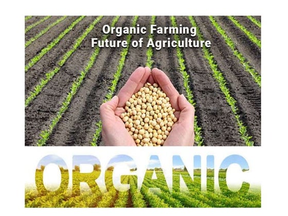 Organic Farming | PPT