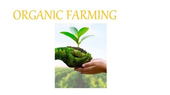 organic farming_PPT.pptx