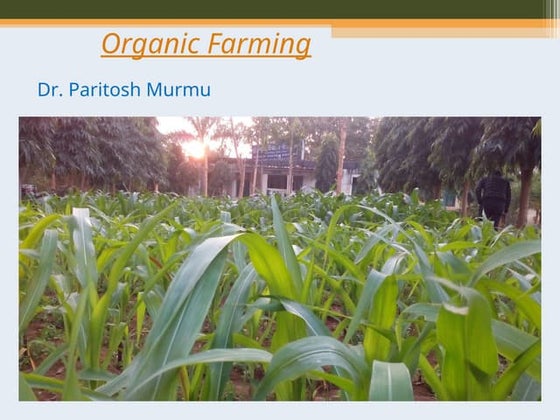Organic farming Powerpoint presentation | PPT