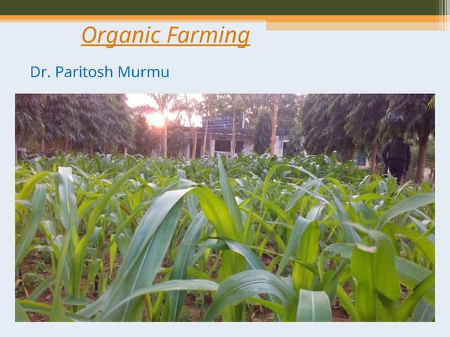 Organic farming Powerpoint presentation | PPTX