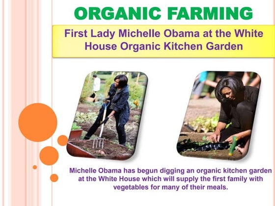 Organic farming Powerpoint presentation | PPTX