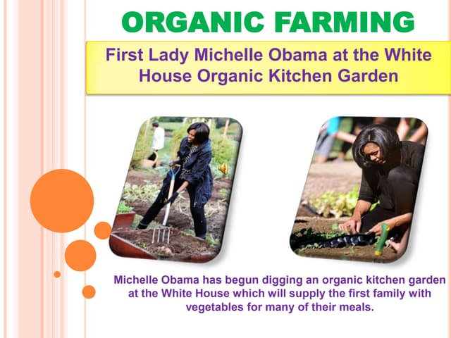 Organic farming Powerpoint presentation | PPTX