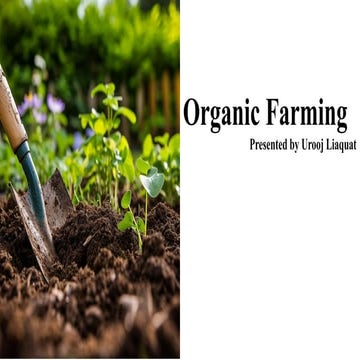 Organic Farming; a sustainable agriculture practice | PDF