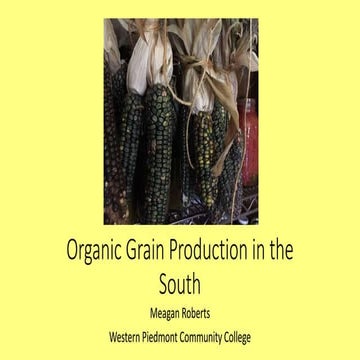 Organic grain production in the south | PPTX