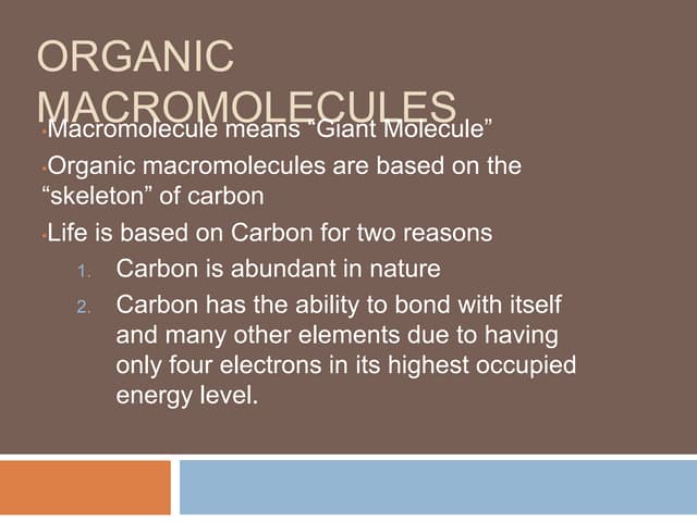 The Water cycle Presentation | PPT