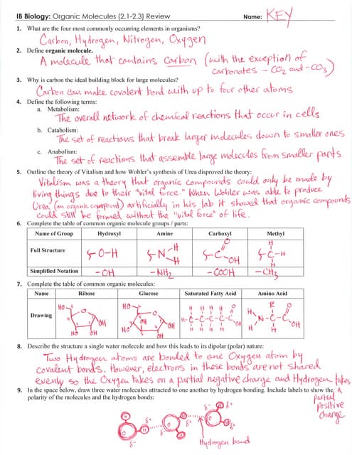 IB Organic Molecules Review (2.1-2.3) | DOCX