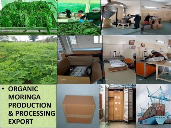 NOP USDA FIVE STEPS OF ORGANIC CERTIFICATION.pdf CREATED BY ORGANIL ...