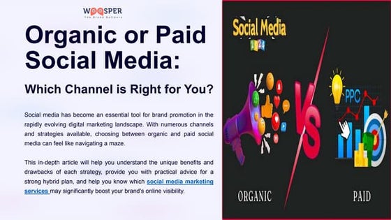 Organic vs Paid.docx