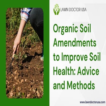 Organic Soil Amendments to Improve Soil Health Advice and Methods.pdf ...