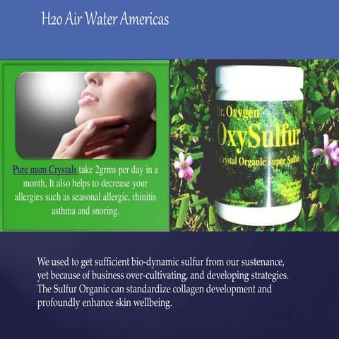 Organic sulfur supplements | PPT