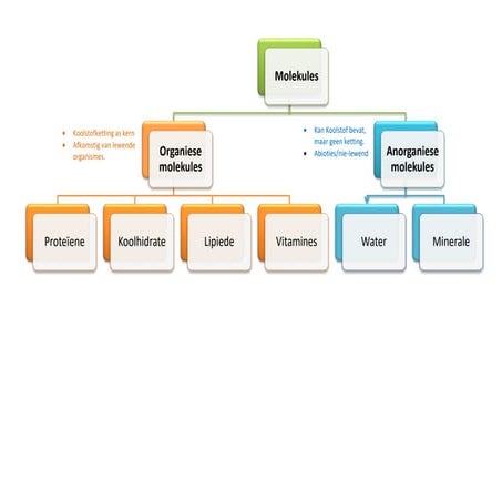 Organiese molecules and their functions. | DOCX