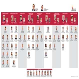 Organigrama junta | PDF