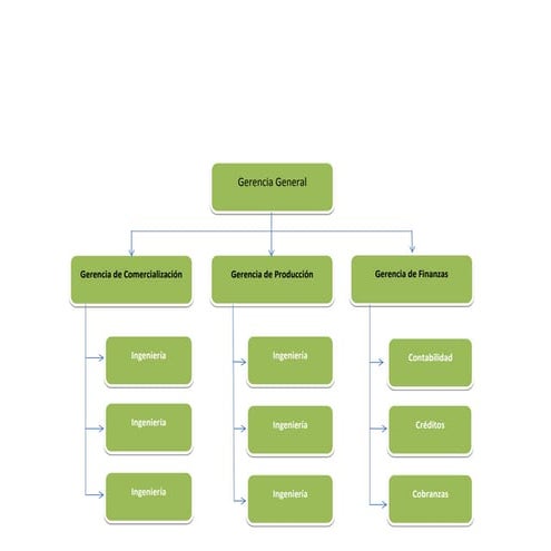 Organigrama mixto | DOCX