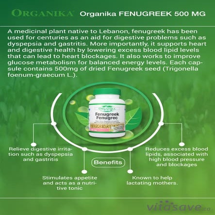 Welcome To Energast | PPTX