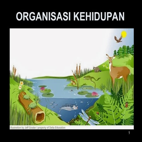 Materi IPA Biologi Kelas 7: Organisasi Kehidupan.ppt