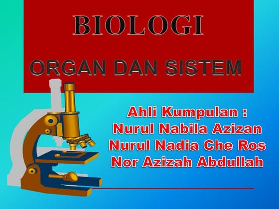 sistem perkumuhan manusia | DOCX