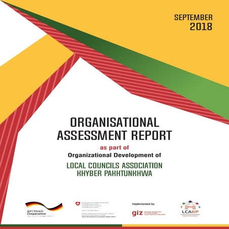 Organisational-Assessment-Report.pdf