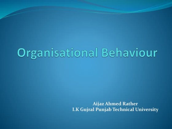 Organization behaviour | PDF
