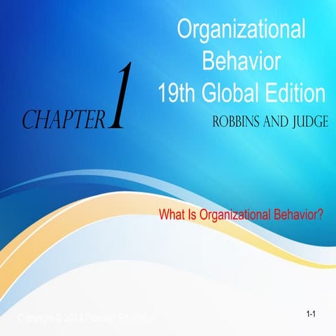 Organisational behaviour chapter one.pptx