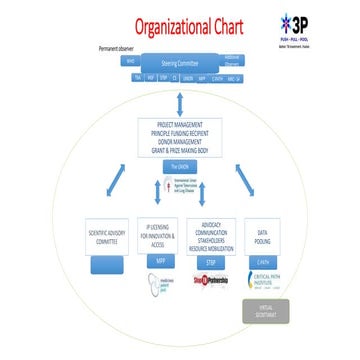 3P Organisational chart | PPTX