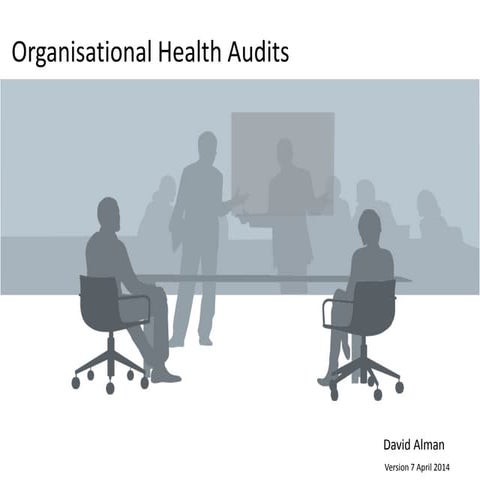 Organisational Health Audits | PDF