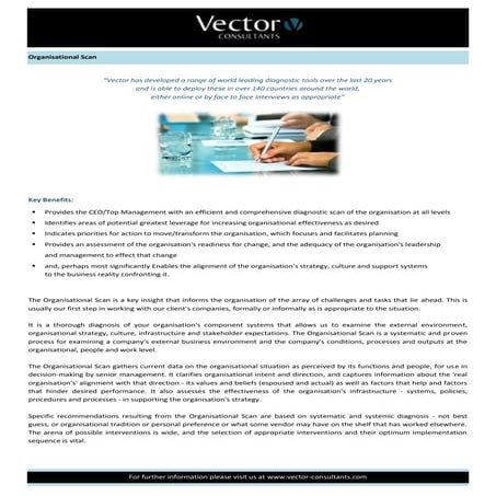 Vector Organisational Scan - Analysing your challenges | PPT