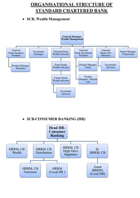 Organizational Chart Template | PDF
