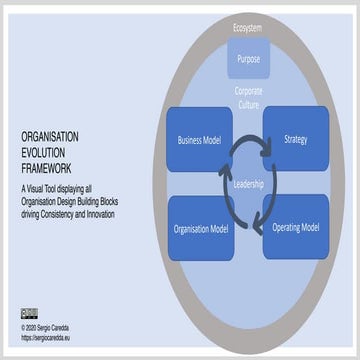 Organisation Evolution Model (Version 1) | PPT