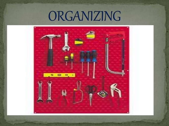 Organisation | PPT