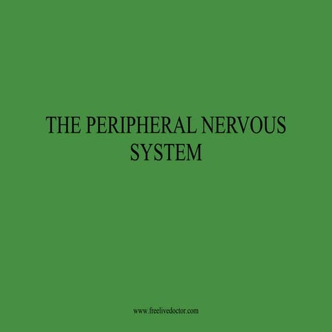 Organisation Of Peripheral Nervous System | PPT