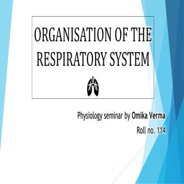 Organisation of Respiratory System(114)-1.pdf
