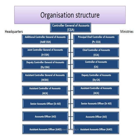 Organisation structure cga | PPTX