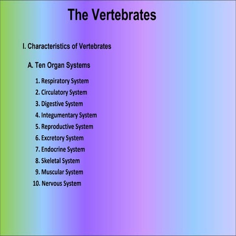 vertebrate | PPT