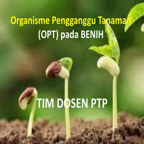 Organisme Pengganggu Tanaman (OPT) pada BENIH.pdf