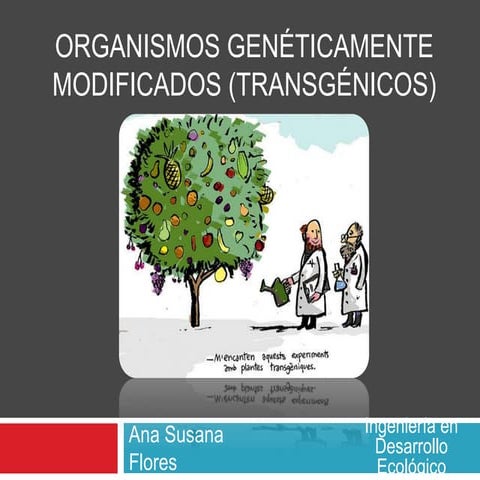 Organismos Genéticamente Modificados (transgénicos) | PPTX
