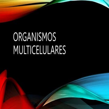 Organismos multicelulares DIAPOSITIVAS Y | PPTX