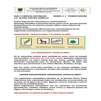 Organismos unicelulares y pluricelulares guia 3 | DOCX