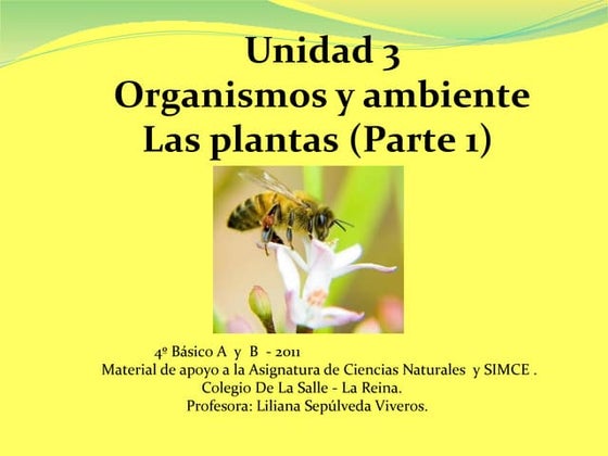 Conocemos las plantas | PPT