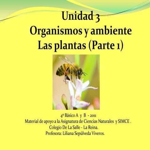 Organismos y ambiente | PPTX