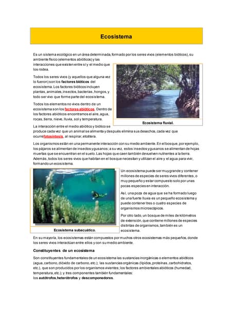 Caracteristicas de los ecosistemas | DOCX | Geography | Science