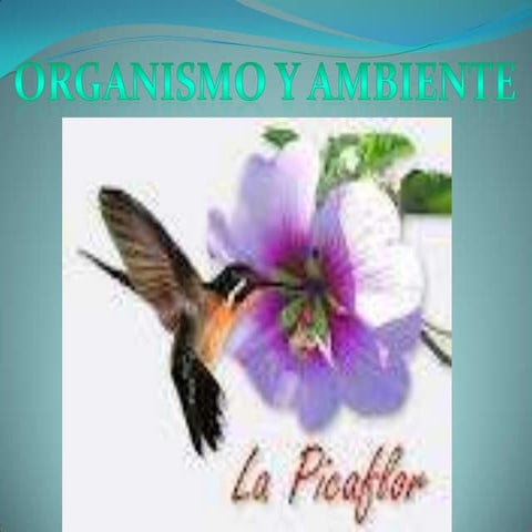 Organismo y ambiente 2 | PPTX