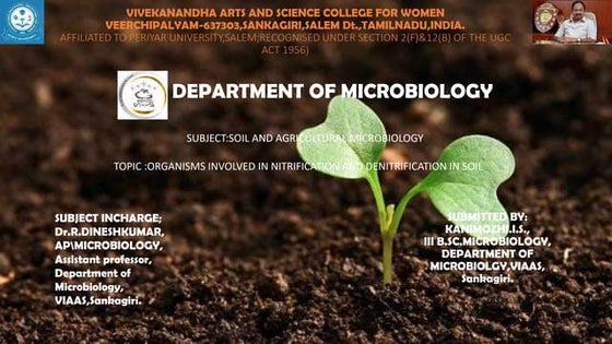 DENITRIFICATION REACTION - SOIL MICROBIOLOGY.pdf