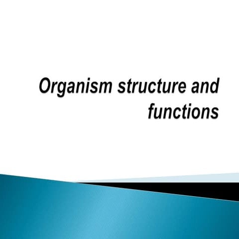 Animal body plans | DOCX