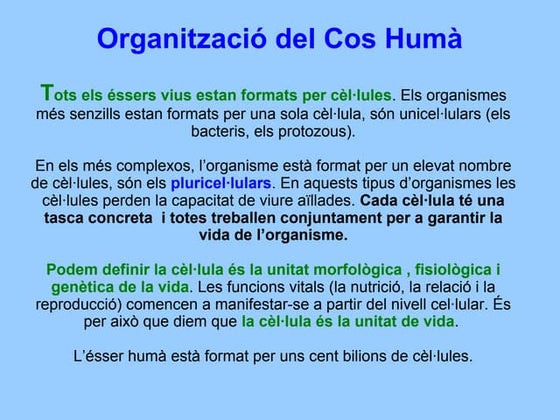 L’organització del cos humà | PPT