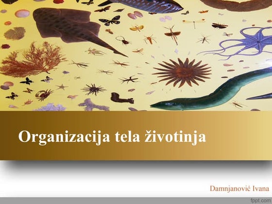 3. Uvod u informatiku - Podatak i informacija. Računarstvo i ...