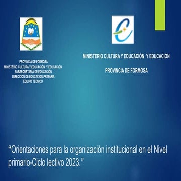 ORGANIZACIÓN INSTITUCIONAL 2023.pptx